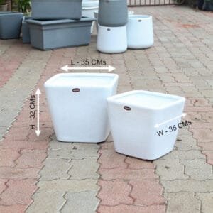 Buy Premium Quality Decorative Decora Pot - Nursery Nisarga
